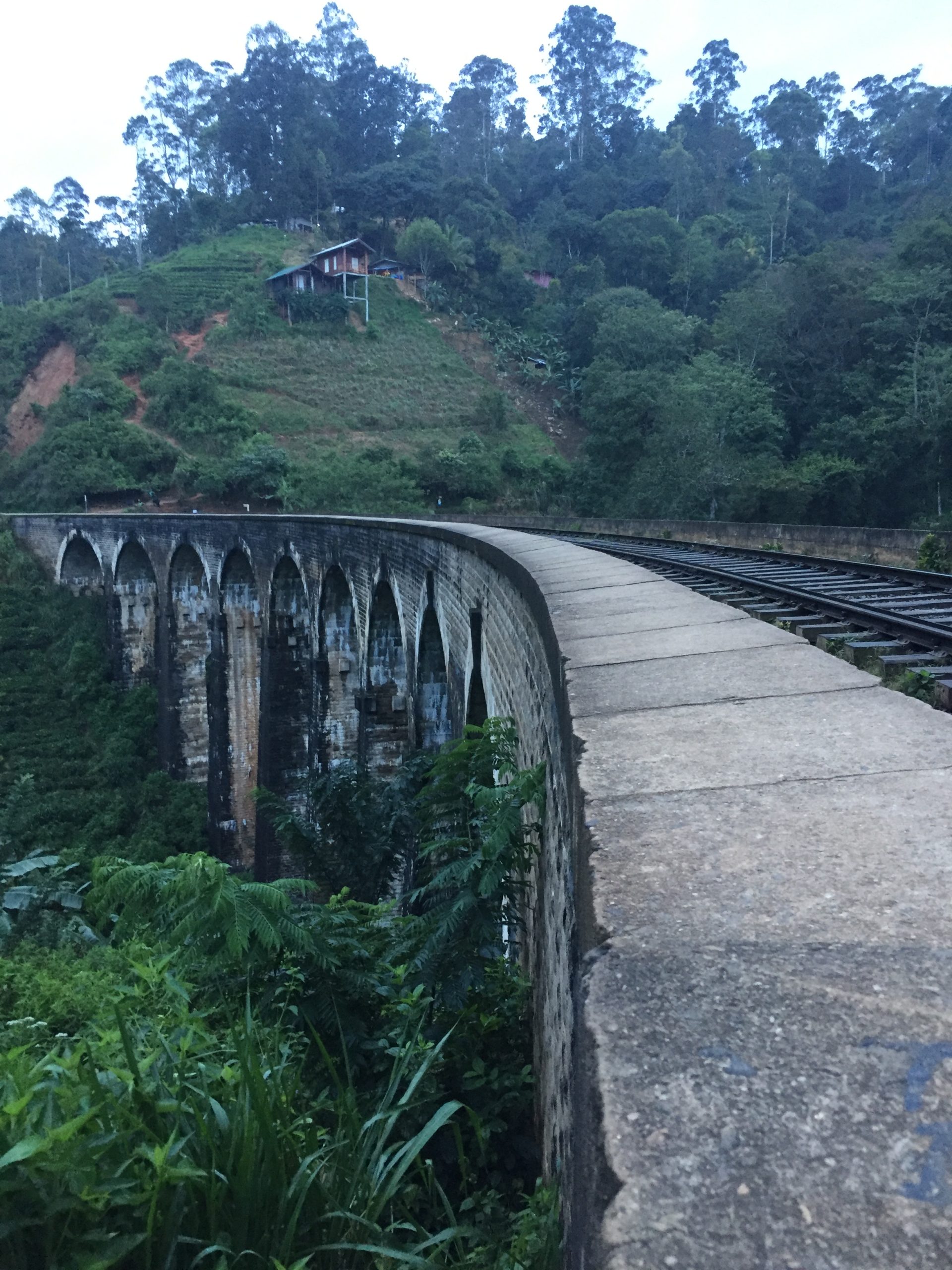 Sri Lanka (Part 2) – Michelle Traveller